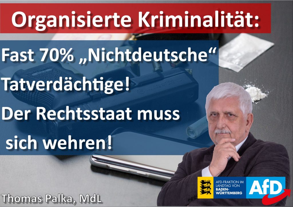 Fast 70% „Nichtdeutsche“ Tatverdächtige – Thomas Palka, MdL