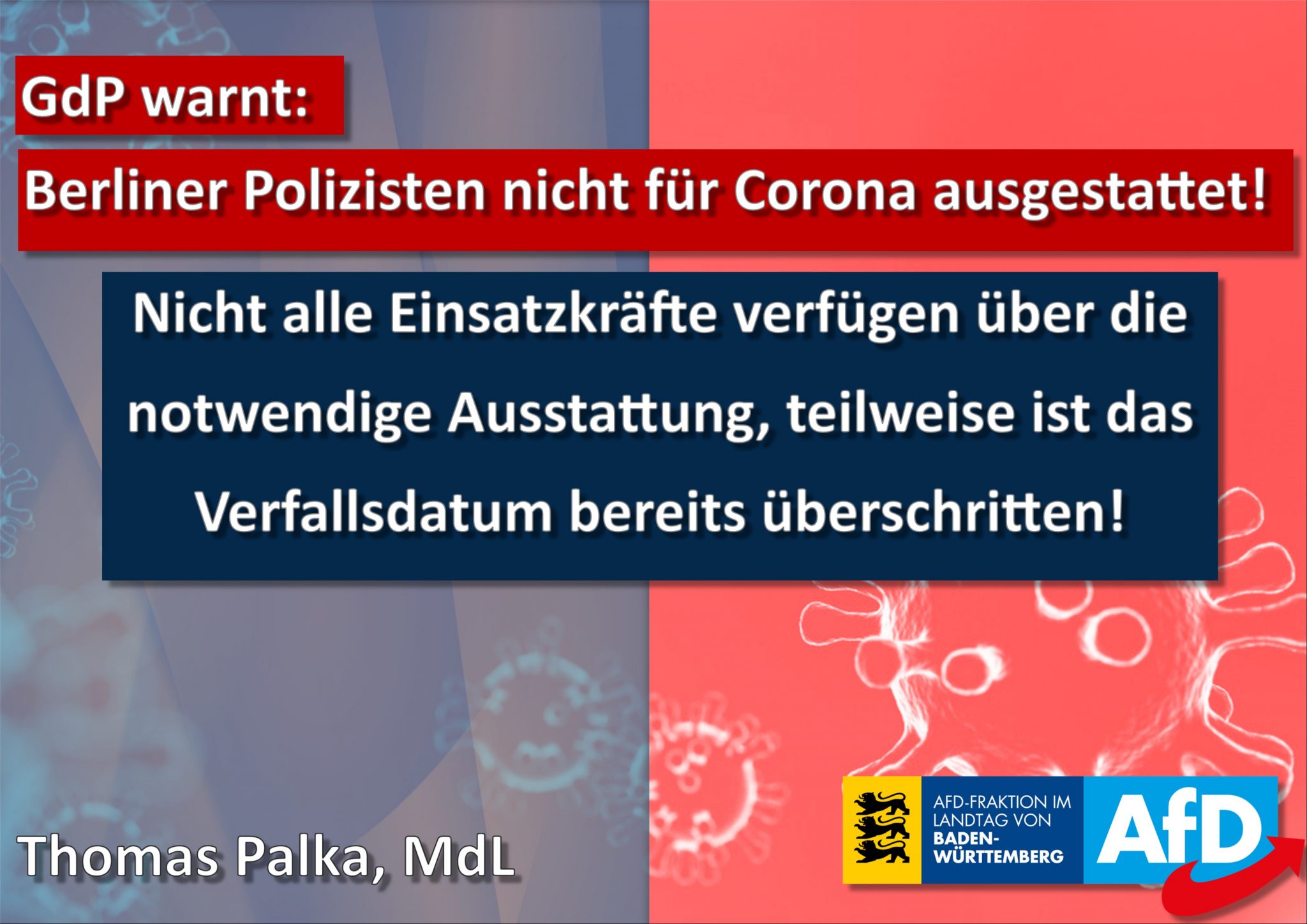 Thomas Palka, MdL