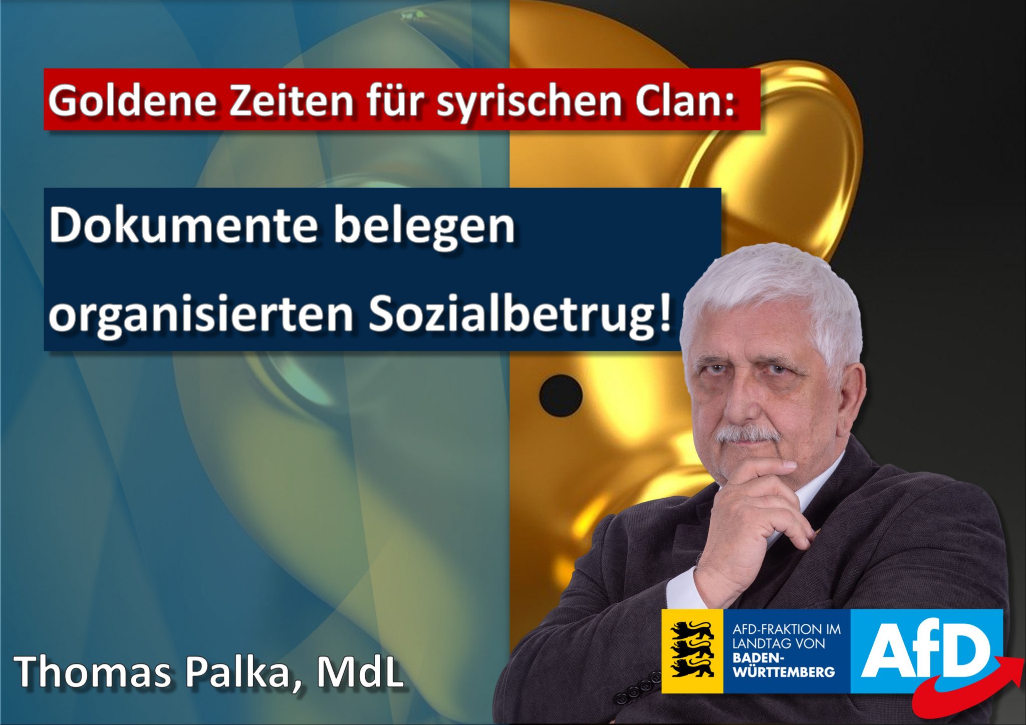 Organisierter Sozialbetrug! – Thomas Palka, MdL