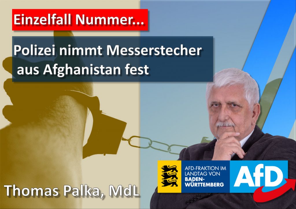 Einzelfall Nummer… – Thomas Palka, MdL