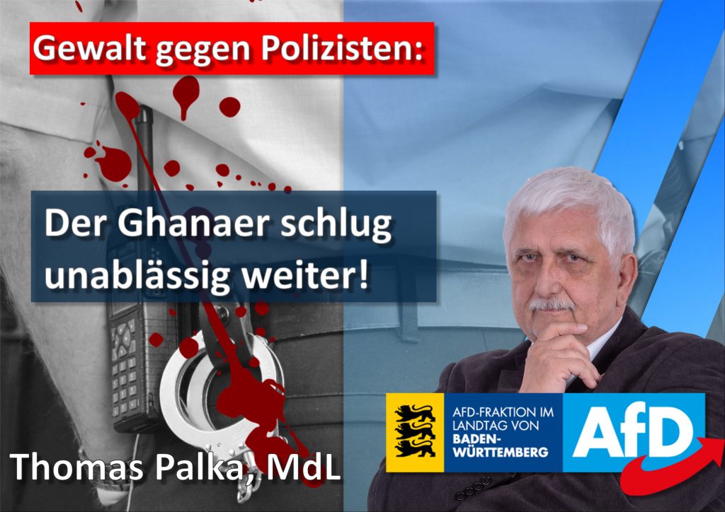 Gewalt gegen Polizisten! – Thomas Palka, MdL