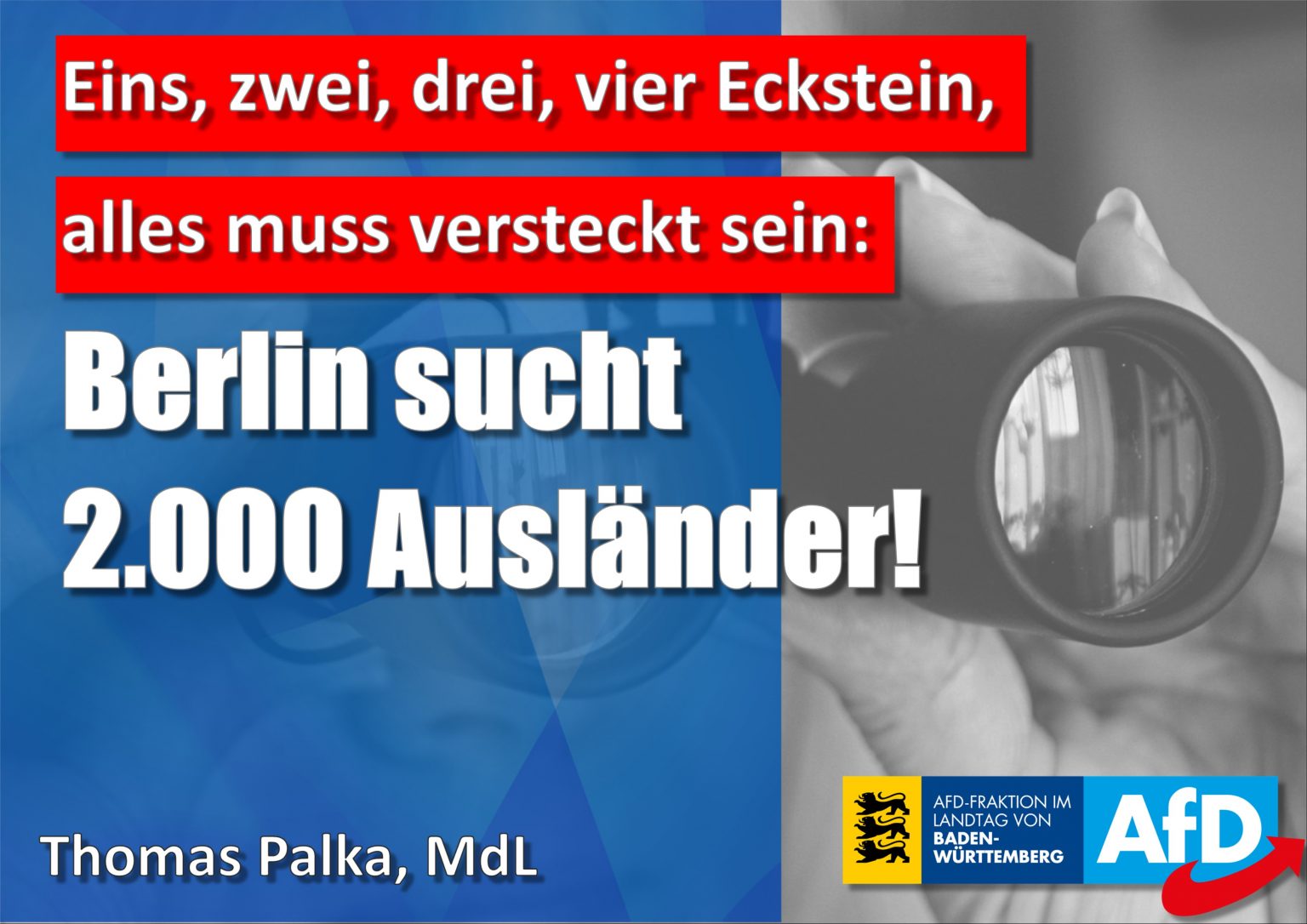 Thomas Palka, MdL – Seite 4 – Abgeordneter des Landtages von Baden ...
