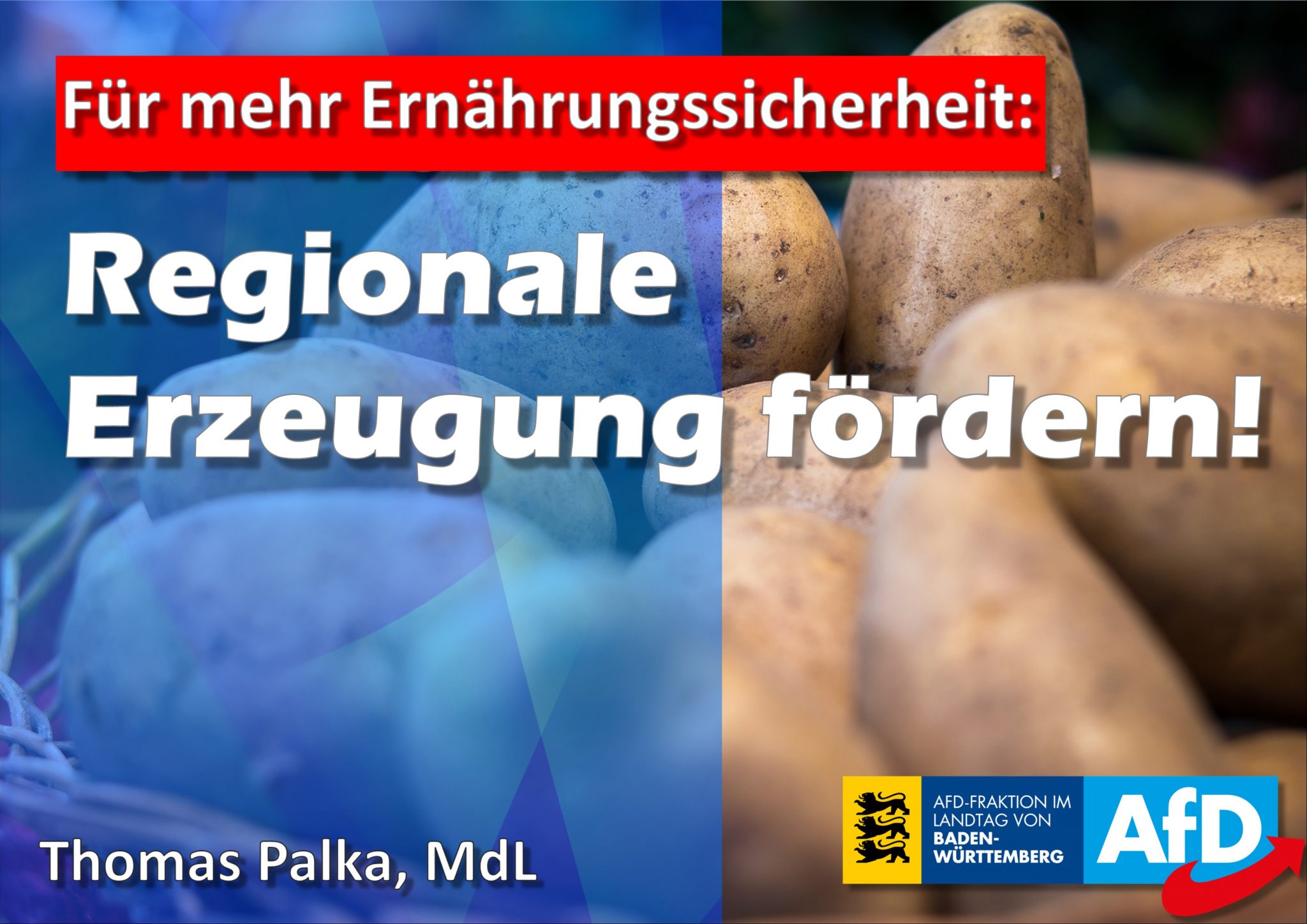 Pressemitteilung – Thomas Palka, MdL