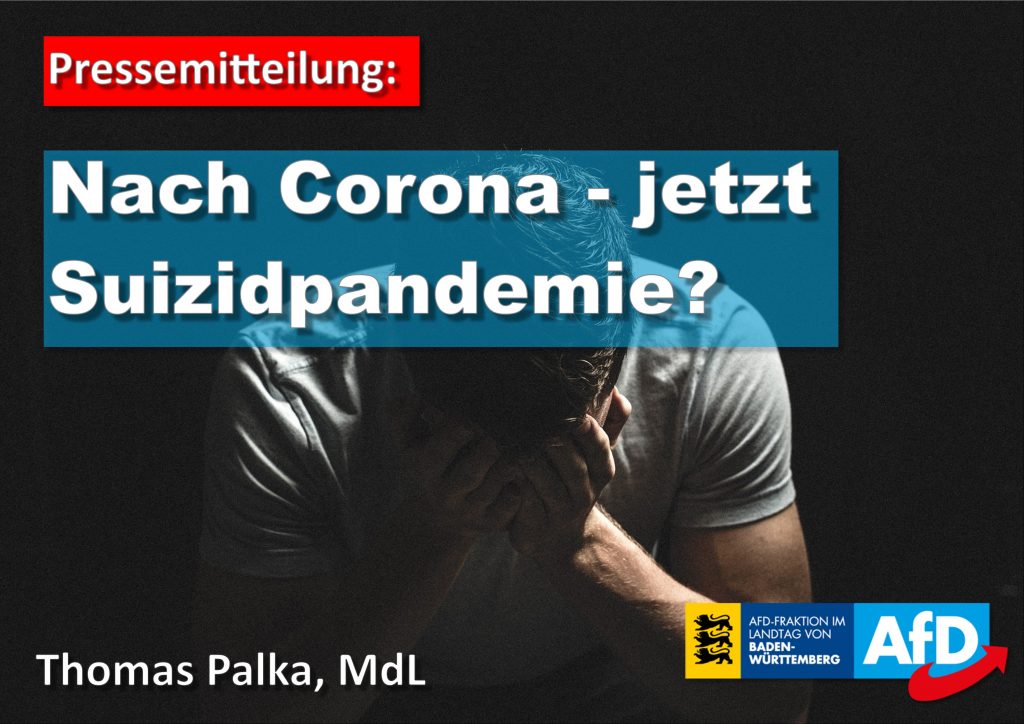 Pressemitteilung – Thomas Palka, MdL