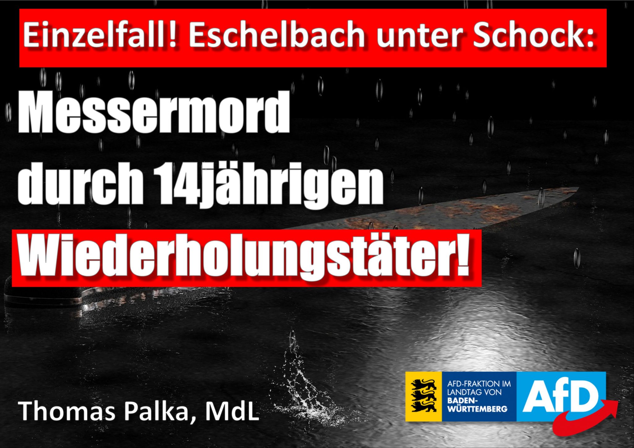 Thomas Palka, MdL – Abgeordneter des Landtages von Baden-Württemberg