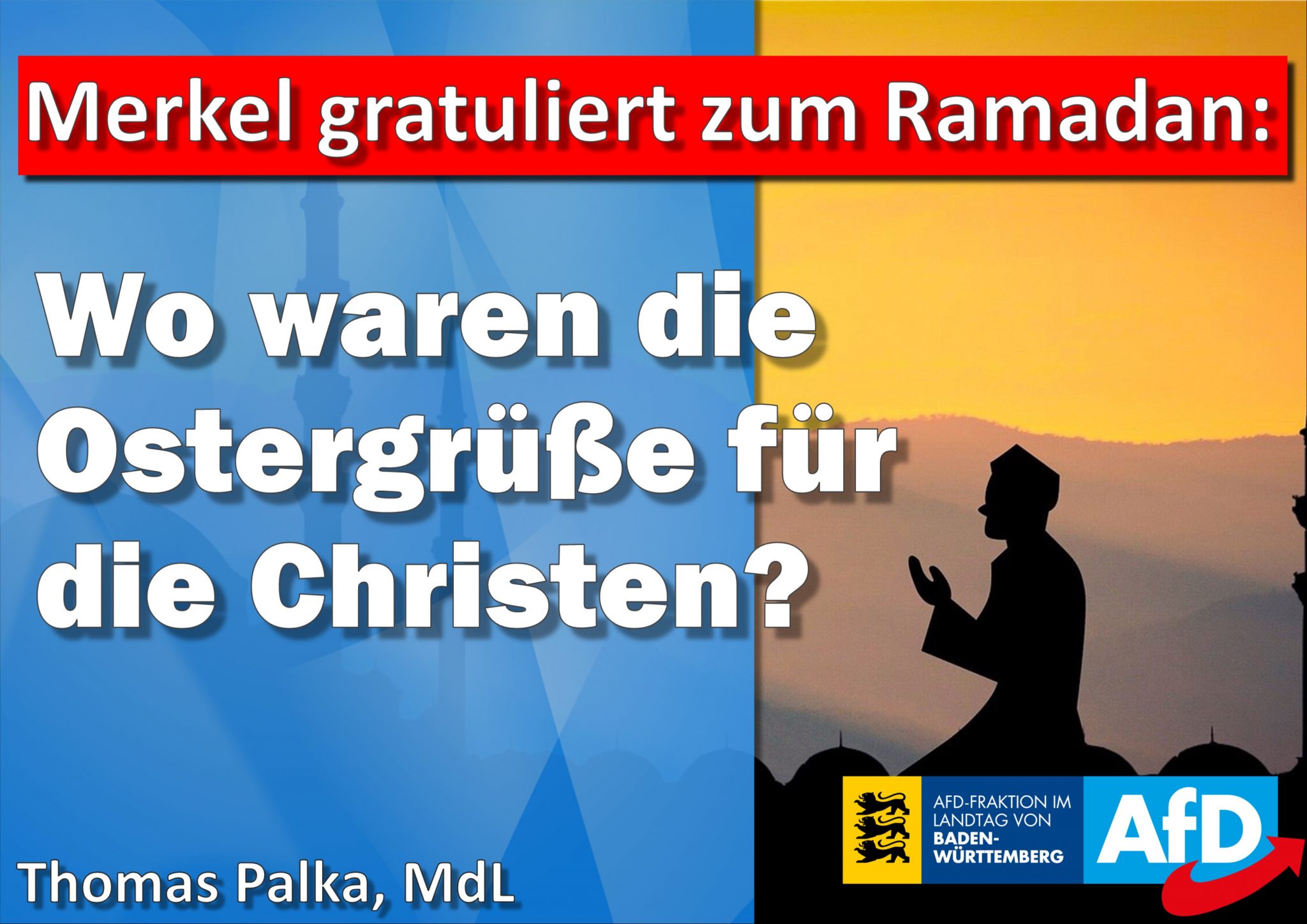 Thomas Palka, MdL – Abgeordneter des Landtages von Baden-Württemberg